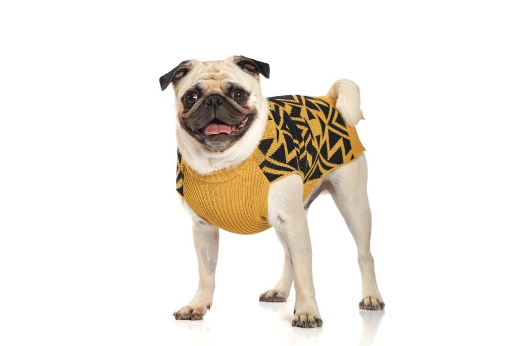 SWEATER LANA GUARDAS ASPEN MOSTAZA M - Natural Life