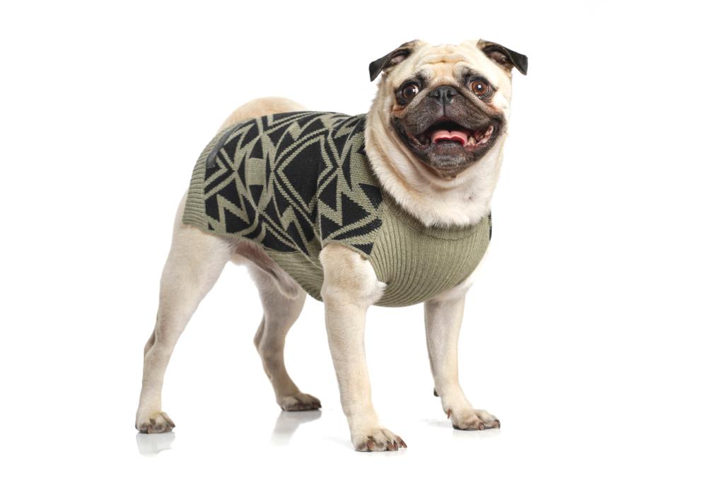 SWEATER LANA GUARDAS ASPEN VERDE MILITAR 35-S