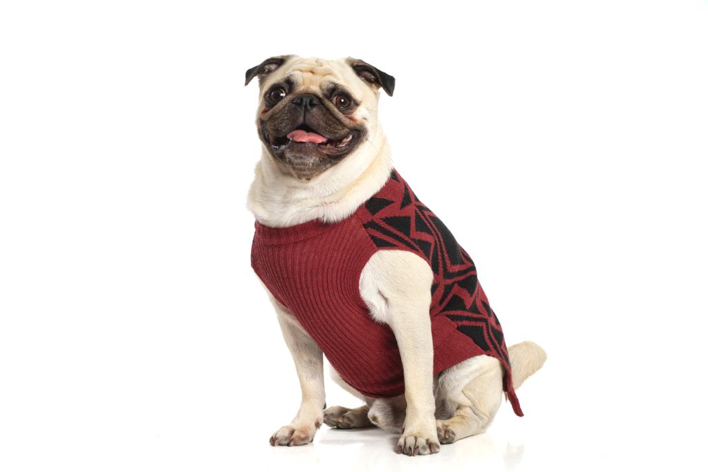 SWEATER LANA GUARDAS ASPEN ROJO 40-L