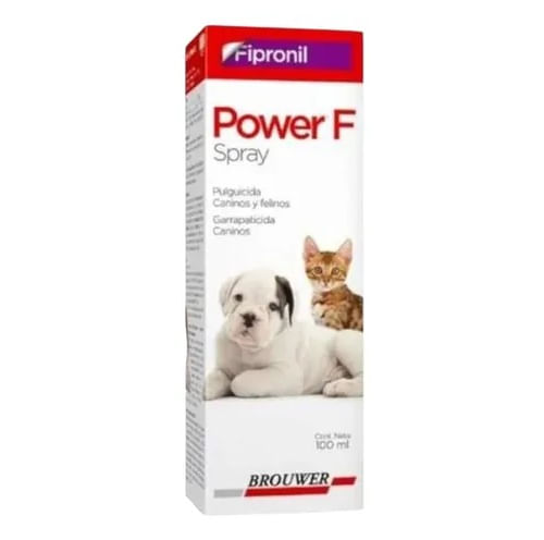 Power F Spray X 100 Ml